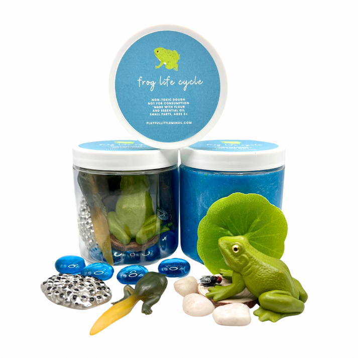 Frog Metamorphosis Playdough Set: Educational Sensory Activity for Kids ...
